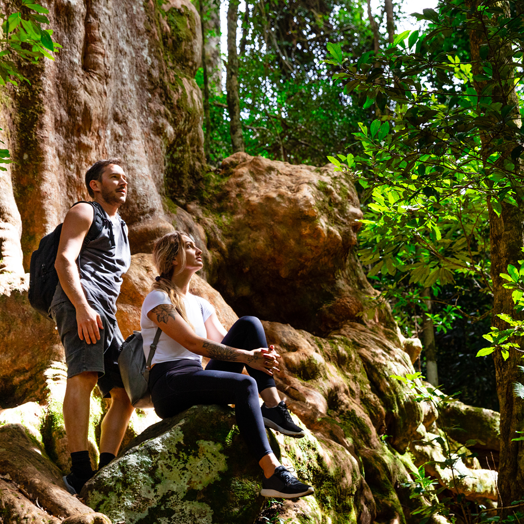 Take a Hike for Human Nature | Scenic Rim Adventure